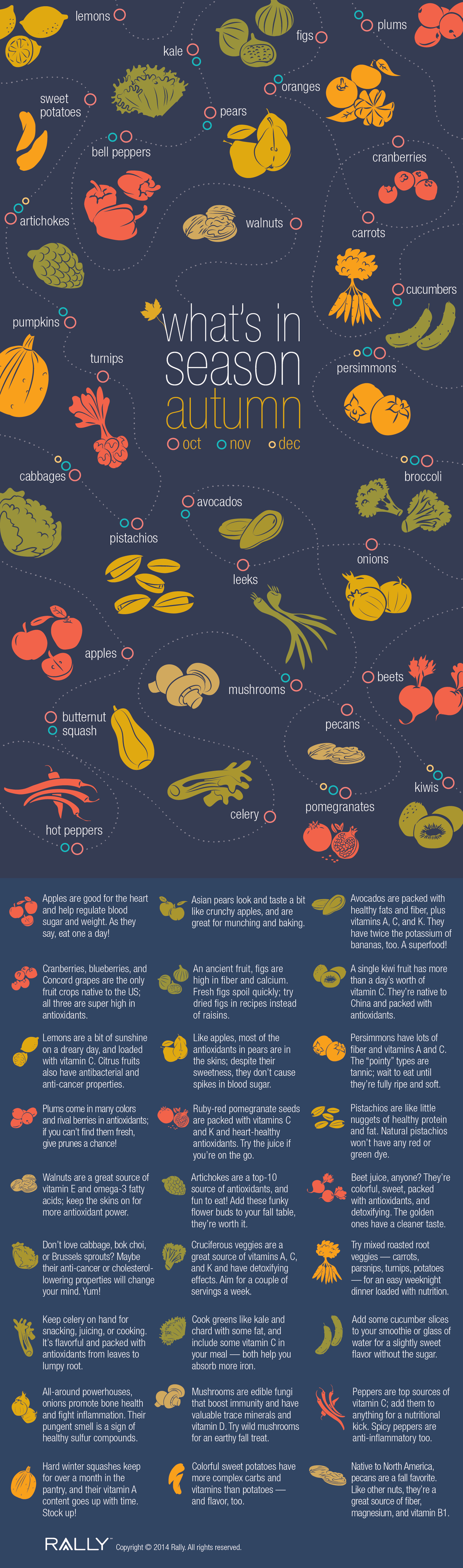 Our Guide to Fall Foods [Infographic] | Rally Health